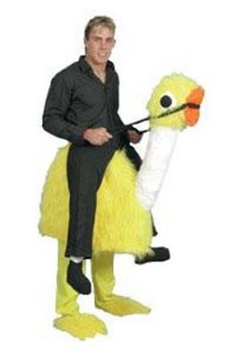 Ride on Emu – For Hire – Fantasy World