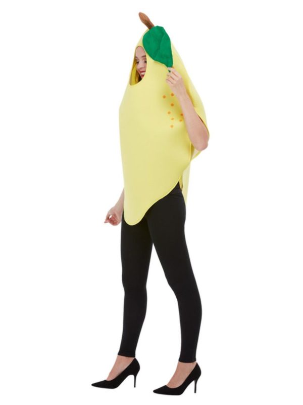 Lemon Costume – Fantasy World
